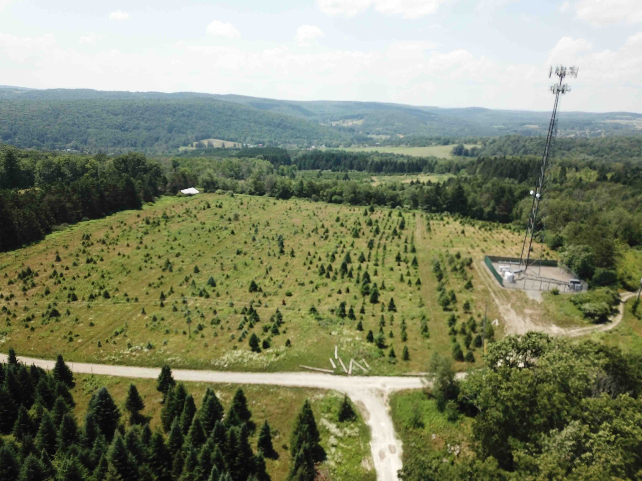 NY Landquest For Sale: Big Acreage Farm has almost 450 acres of ...