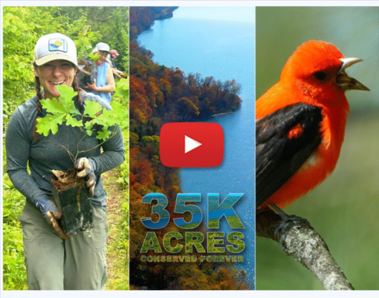 Finger Lakes Land Trust: Over 35,000 Acres Conserved! • The KEUKA SUN